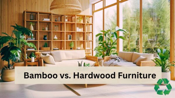 Bamboo vs. Hardwood: 10 Essential Facts You Should Know